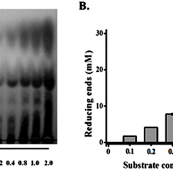 Hydrolysis of beechwood xylan at different concentration with constant ...