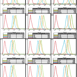 Flow cytometry analysis of bEnd.3 cells.