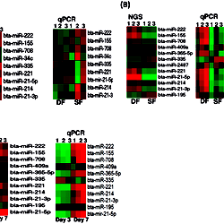 The heatmap showing the qPCR data along with the deep sequencing data ...