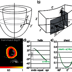 Definition of fiber and sheet angles.