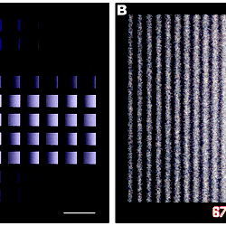 Optical images of the 100-gradient-array.