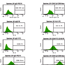 Ad-MSC characterization: Flow Cytometry.