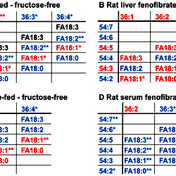 Alternate display format of TAG/DAG-species and FA-species.
