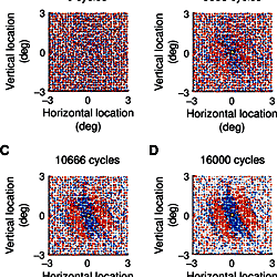 A model for the origin and development of visual orientation ...