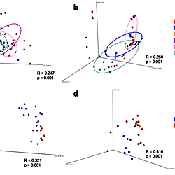 Principle coordinate analysis (PCoA) plots of beta diversity distance ...