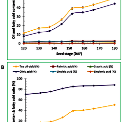 The oil content and fatty acid composition of Camellia oleifera seeds at different developmental ...
