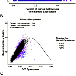 Comparison of the silent third position GC composition of the third ...