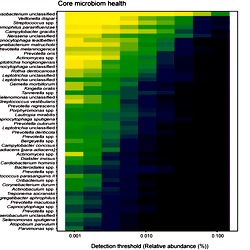 Heat map of the core microbiome in health.