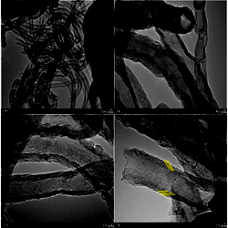 TEM images of CNFs using Al/Fe wash-coated monolith substrate.