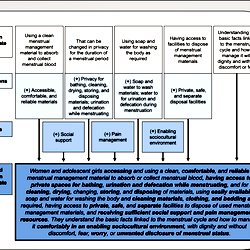 Conceptual framework of proposed definition for adequate menstrual ...