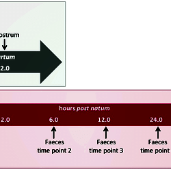 Overview over samples and sampling time points in regard to parturition ...