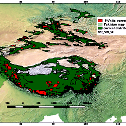 A map of snow leopard (Panthera uncia) in relation to Protected Areas ...