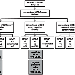STARD (STAndards for the Reporting of Diagnostic accuracy) flow diagram ...