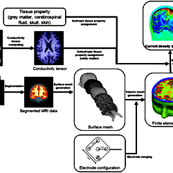 Diagram describing the procedure of volume mesh generation.