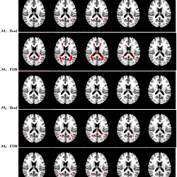 P-values for testing using models – after applying Bonferroni and FDR ...