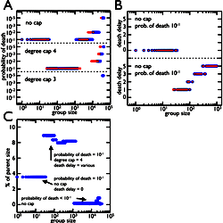 Best strategies for different group size selection.
