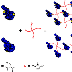 A schematic diagram of hydrogel formation.