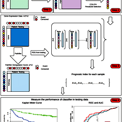 The workflow of the pathway-based genomic model.