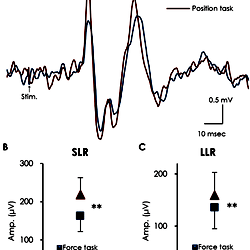 Averaged heteronymous SLR and LLR waveforms recorded from the FDI ...