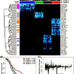 Heterogeneity analysis by patient and in time.