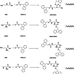 Derivatization reactions of the targeted amino acids with 9-fluorenylmethyl chloroformate (FMOC-Cl).