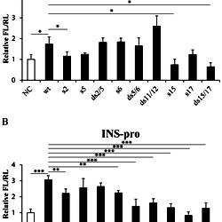Mismatch tolerance of functional activating siRNAs.
