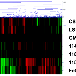 Representative heat map emphasizing the relationship among the various ...