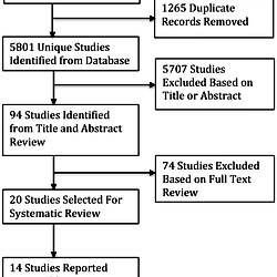 Systematic review flow chart.