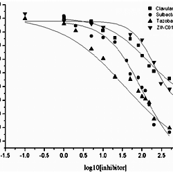 Determination of IC50 values for different inhibitors.
