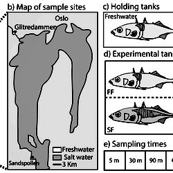 Study area and experimental design.
