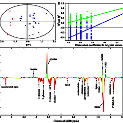 PCA scores plot (A), validation plot (B) and coefficient-coded loading ...