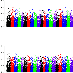 Summary of selective sweep analysis.