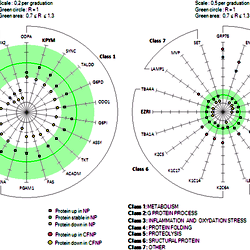 Expression pattern of the 42 differential proteins of interest in CF.