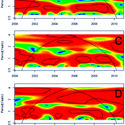 Cross-wavelet coherence analysis.