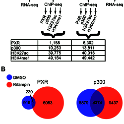 ChIP-seq summary.