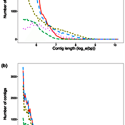 Distribution of contig lengths for each transcriptome assembly.
