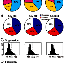 Percentages of the three types of PCs and distributions of onset ...