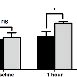 APD90 at baseline and after 1 hour in the both two groups.