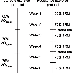 Concurrent exercise program design with weekly intensities for aerobic ...