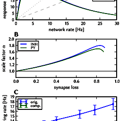Mean-field-based compensation method for the AI network.