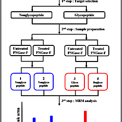 Development of MRM-MS method for measuring glycoproteins.