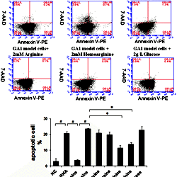 Detection of apoptosis using flow cytometry.