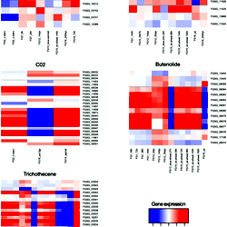 Differential gene expression heatmap of clusters and neighboring genes.