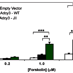 Jll expression leads to increased Adcy3 signaling.