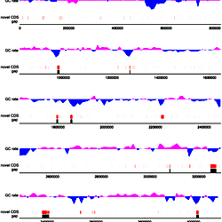 GC rate with novel CDSs and regions corresponding to gaps in the ...