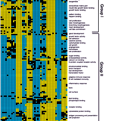Module map analysis of differentially expressed gene sets.