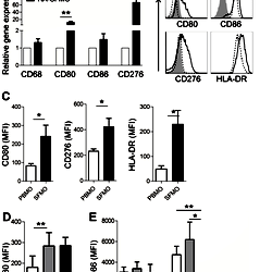 RA patient-derived synovial monocytes predominantly express B7 family ...