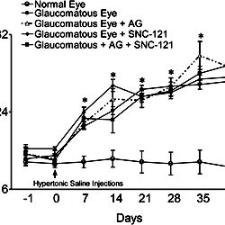 Intraocular pressure (IOP) measurements in normal and glaucomatous eyes.