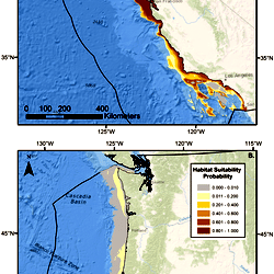 Original and updated habitat suitability probability profiles for Raja ...