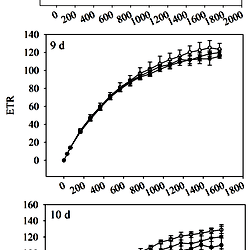 Relative electron transport rate (ETR) as a function of PAR.
